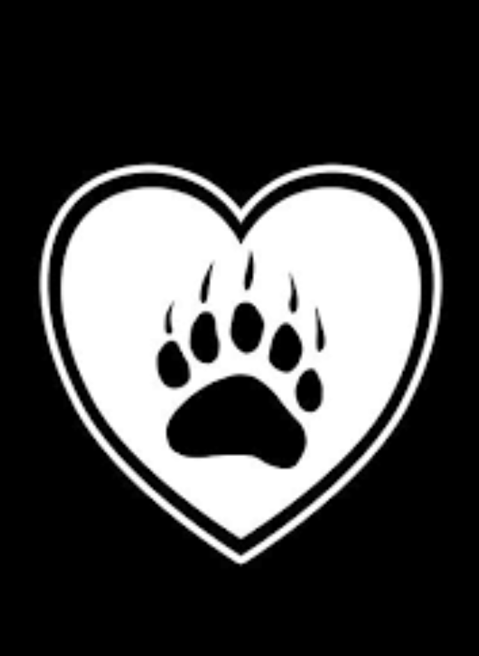 Bear Pals: Spreading Inclusivity Through Love